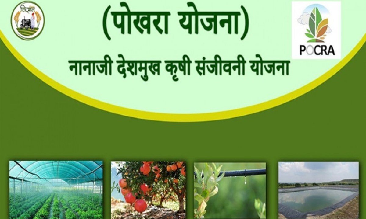 आता शेती होणार फायदेशीर! पोखरा योजनेतून मिळणार फळबाग, सिंचन आणि ...